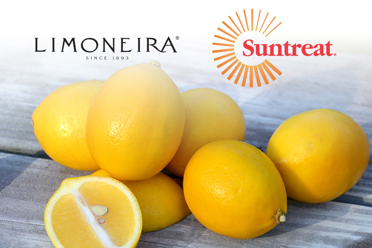 Limoneira and Suntreat Advance Their Alliance to the Next Level - Limoneira