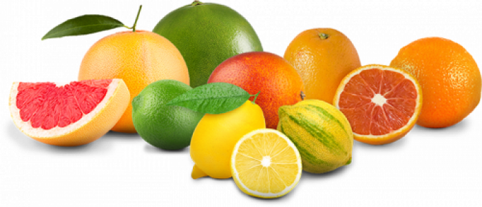 Privacy Policy - Limoneira