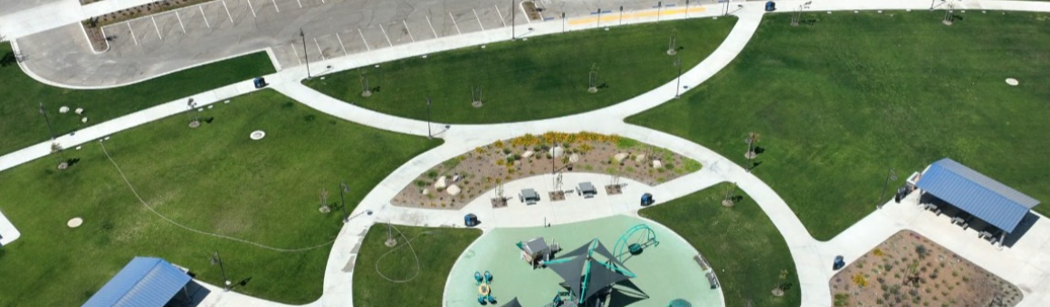 Harvest At Limoneira Update September 6th, 2024 - Limoneira