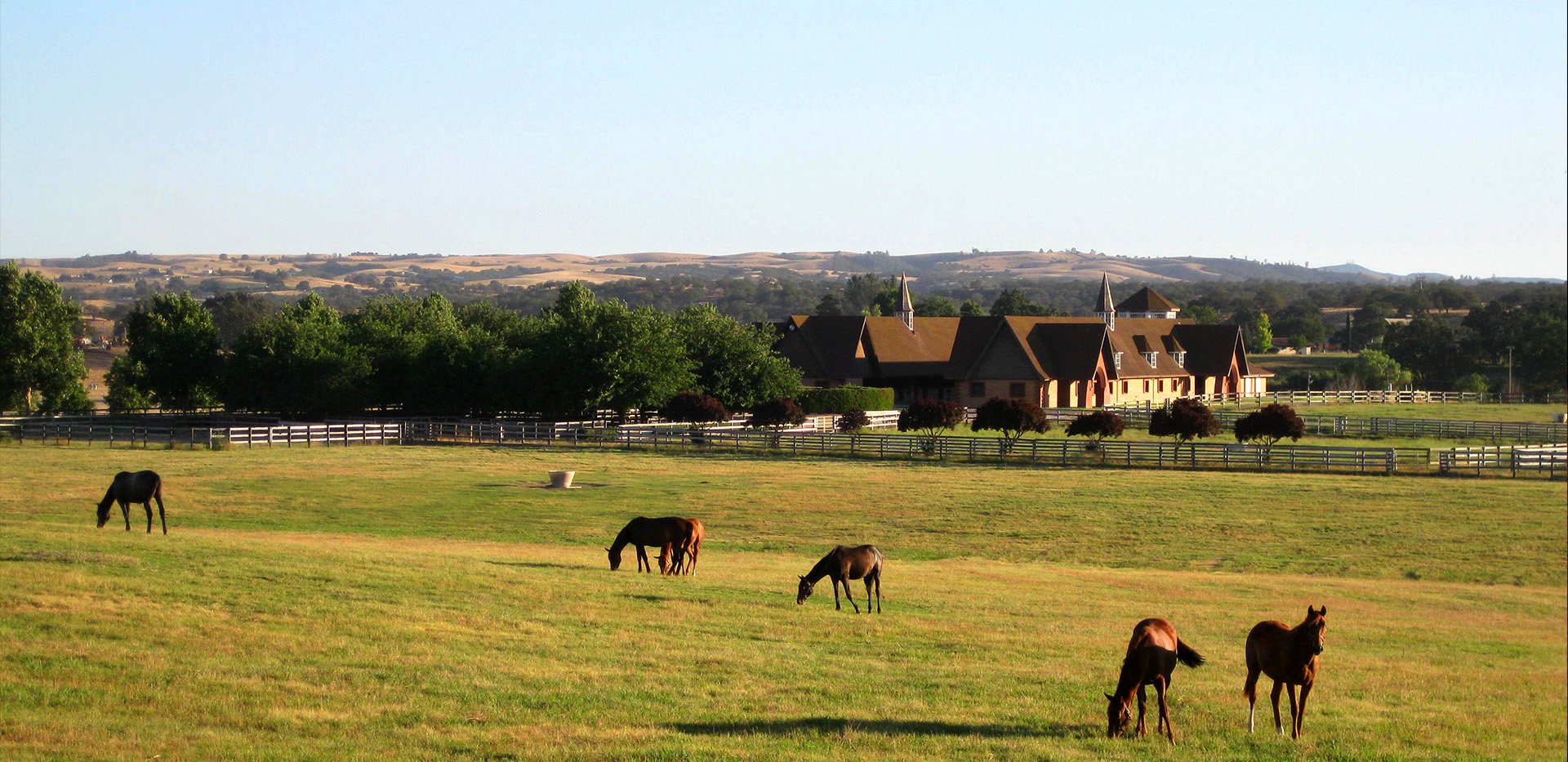 Windfall Farms - Limoneira